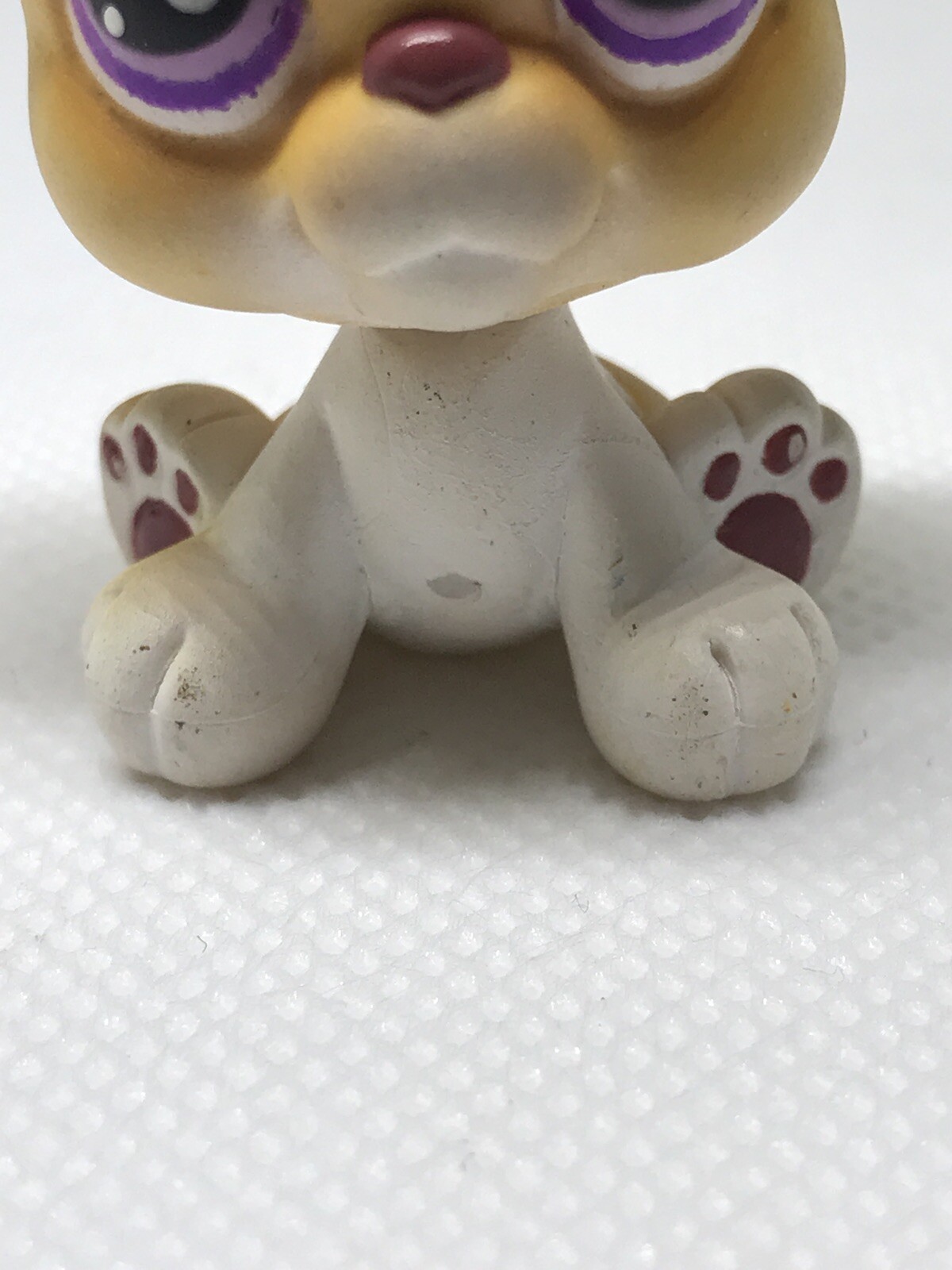 Littlest Pet Shop LPS #451 Tan White Yellow Boxer Dog Purple Eyes ...