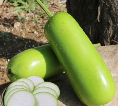 15+Calabash Bottle Gourd Seeds Chinese Pugua Nam Tao Yao Lauki Opo ...