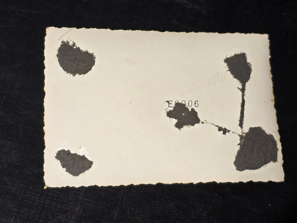 RAD SOLDIERS TRAIN RIFLE SHOOTING TARGET PRACTICE German Military photo ...