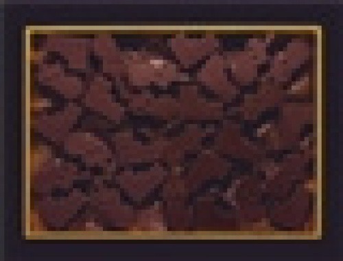 Alex Da Corte: Mouse Museum by Alex Da Corte [Hardback] | eBay