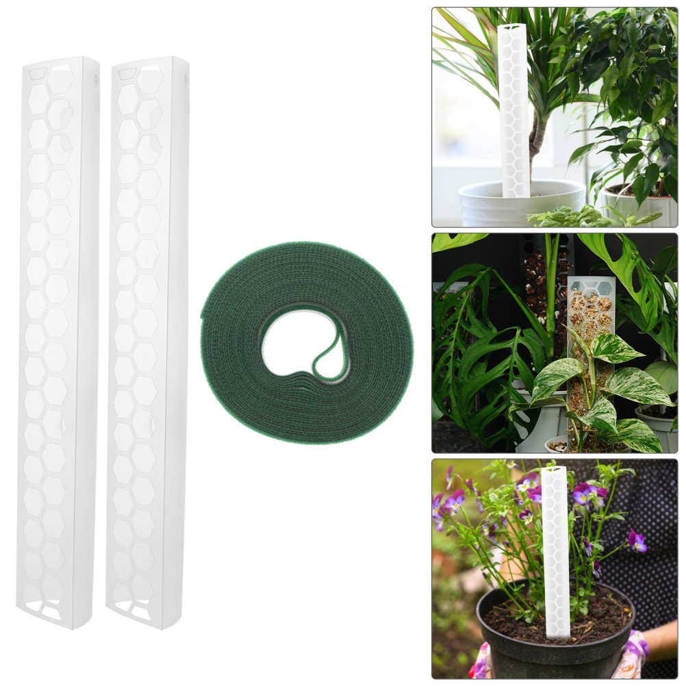 Moss Pole Accessories Kit Stick Plastic Poles for Climbing Plants | eBay UK
