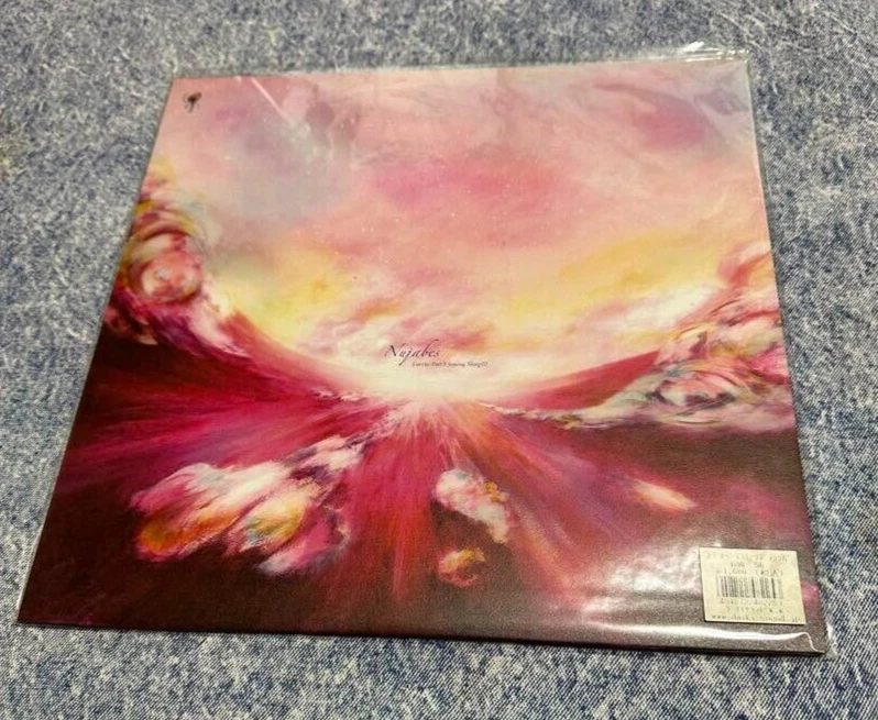 luvsic pt5 レコード shingo2 - 邦楽