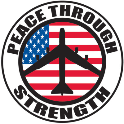 USA PEACE THROUGH STRENGTH Embroidered Shoulder Patch 3-3/16TH" (0032 ...