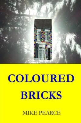 Coloured Bricks 9781724856159| eBay