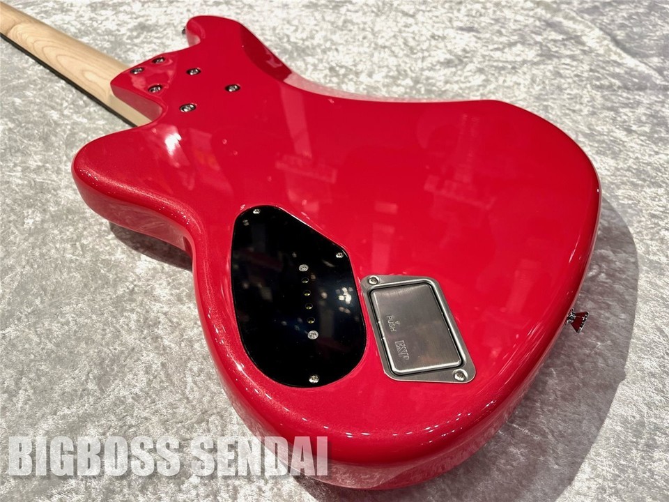 Edwards E-BASS V New Electric Bass Guitar | eBay