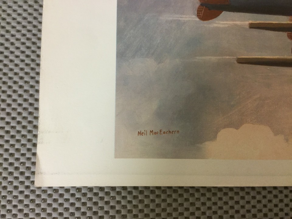 Neil MacEachern Curtiss R3C-2 Schneider Trophy Racer (1926) Print | eBay