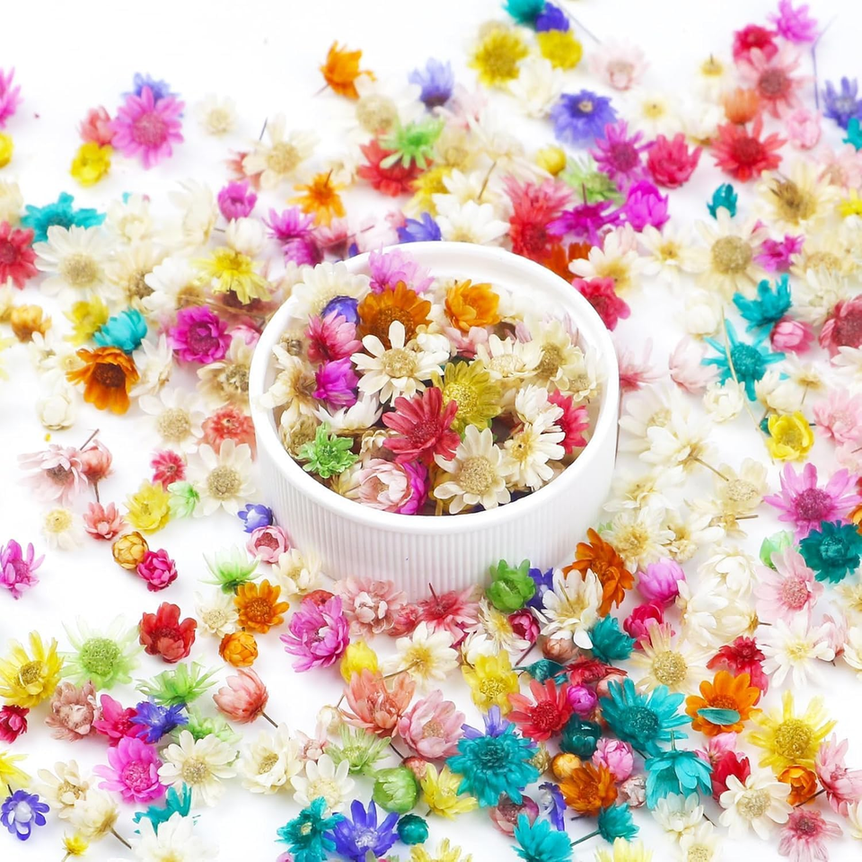 300 PCS Mini Dried Flowers for Resin, Small Dried Flowers for Crafts ...