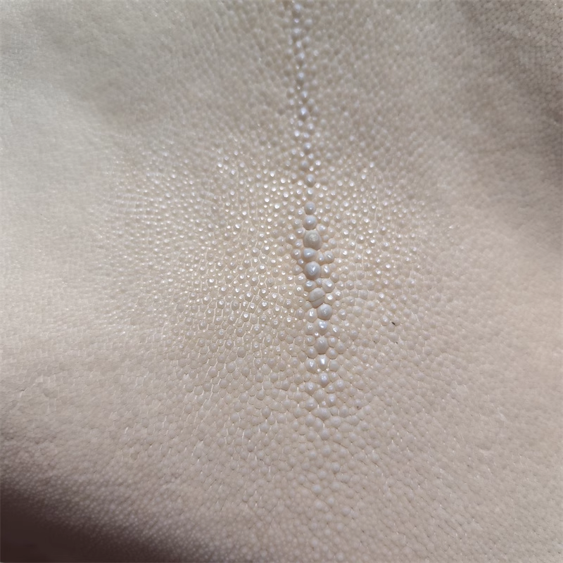 1pcs Stingray Fish Hide Skin Leather For DIY Craft Pelt Material Off ...