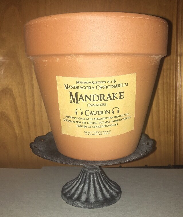 DIY Party Prop Sticker Set Labels Harry Potter Potion Mandrake Cosplay ...