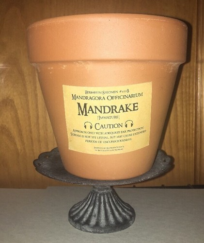 DIY Party Prop Sticker Set Labels Harry Potter Potion Mandrake Cosplay ...