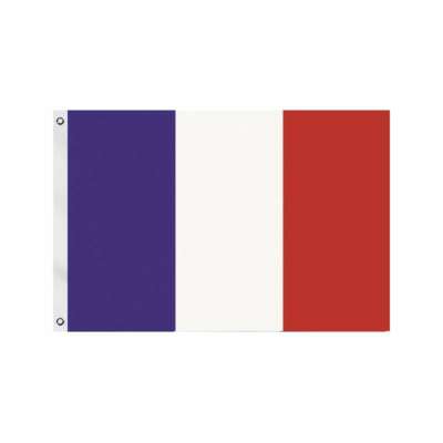 Flag FRANCE 150 X 90 CM French | eBay