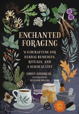Enchanted Foraging: Wildcrafting for Herbal Remedies, Rituals, and a ...