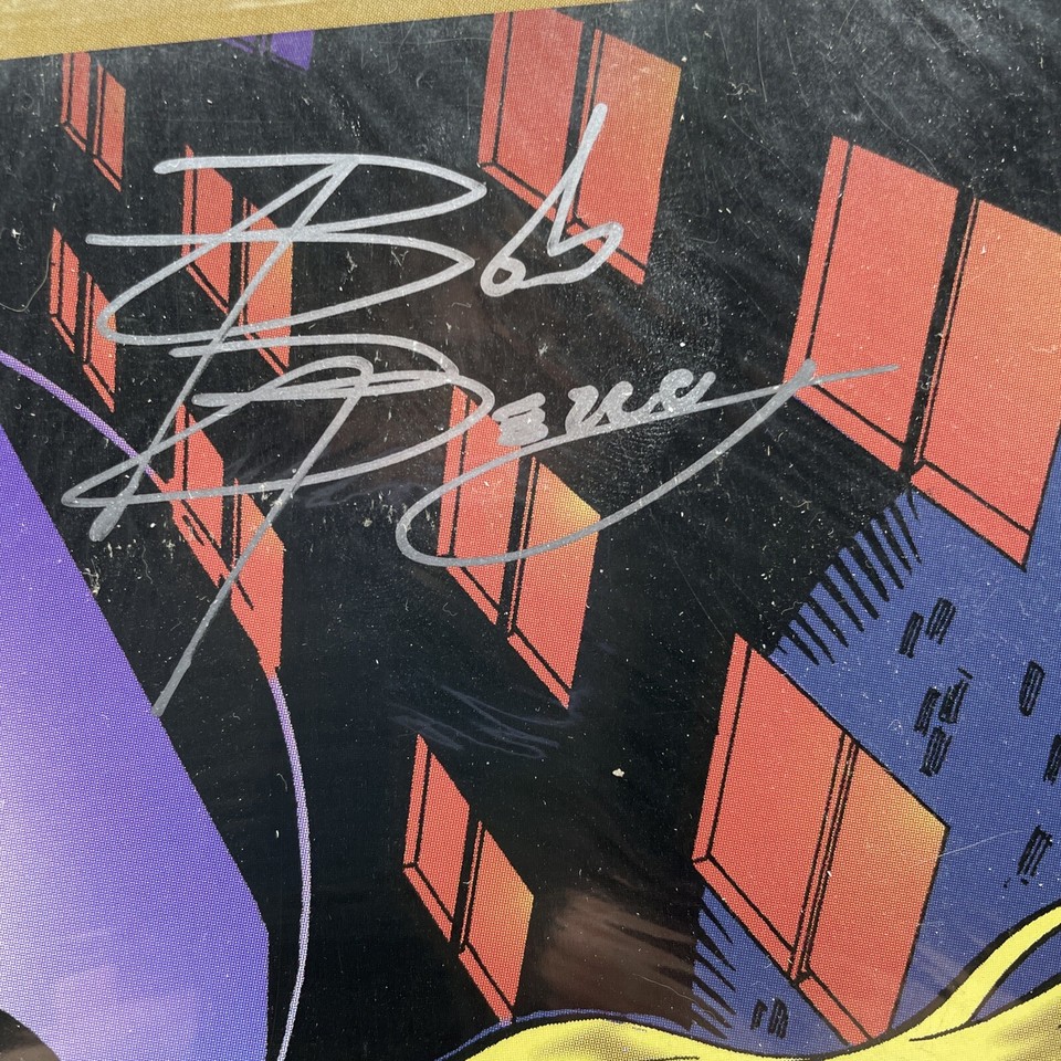 RARE PREMIUM ISSUE Lady Vampire 0 signed by Bob Berry Comic Book ...