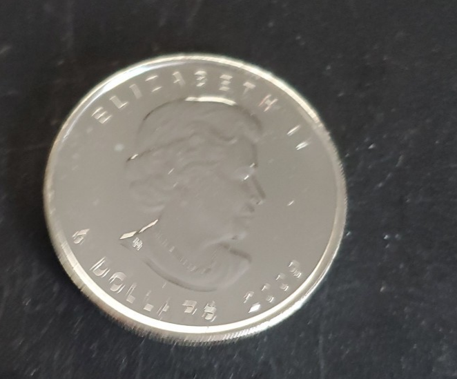 2009 Canadian Maple Leaf 1 oz .999 Fine Silver $5 BU from Canada Mint ...