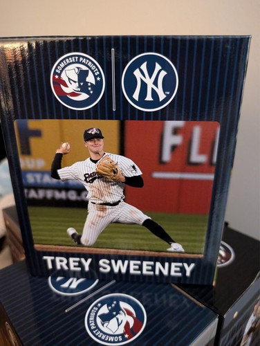 Trey Sweeney Bobblehead Somerset Patriots Detroit Tigers Yankees New ...