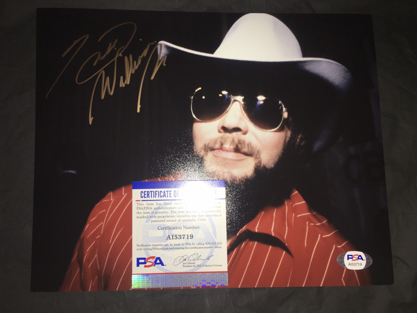 Hank Williams Jr Signed 8x10 Photo Country Music Legend PSA/DNA #6 | eBay