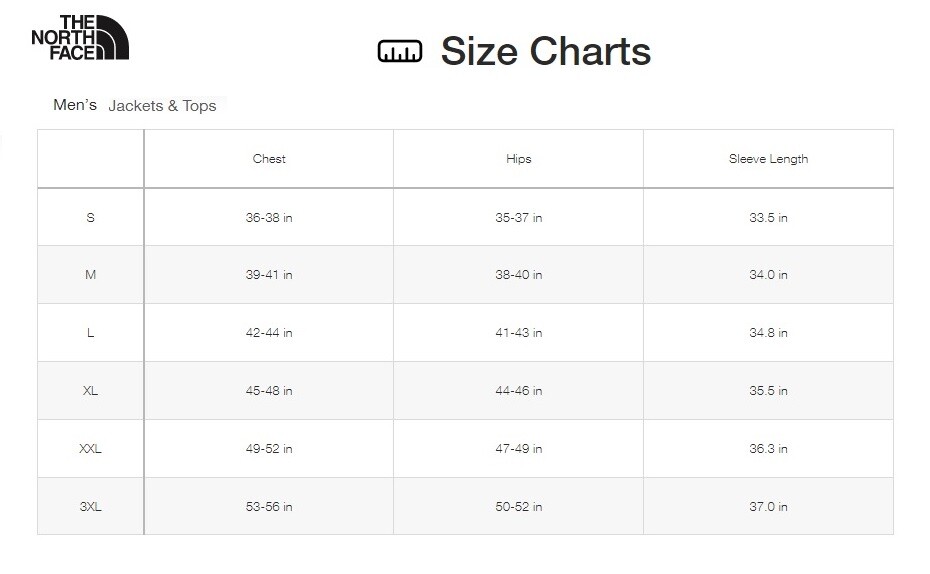 THE NORTH FACE MEN'S BALTIC 600 DOWN PUFFER HOODIE JACKET BLACK sz S M ...