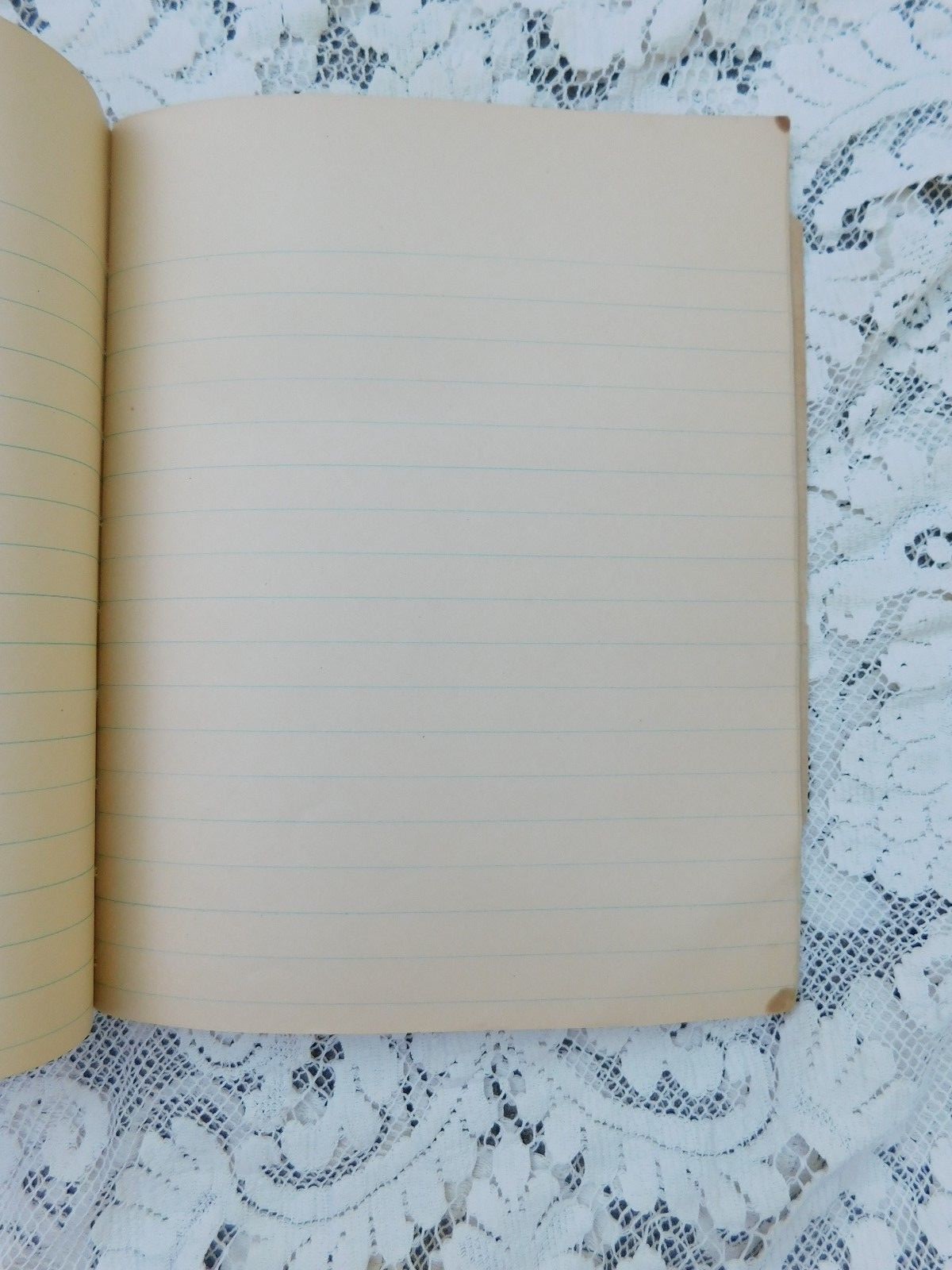 VINTAGE 1930's / 40's DONALD DUCK WALT DISNEY ENTERPRISES NOTEBOOK ...