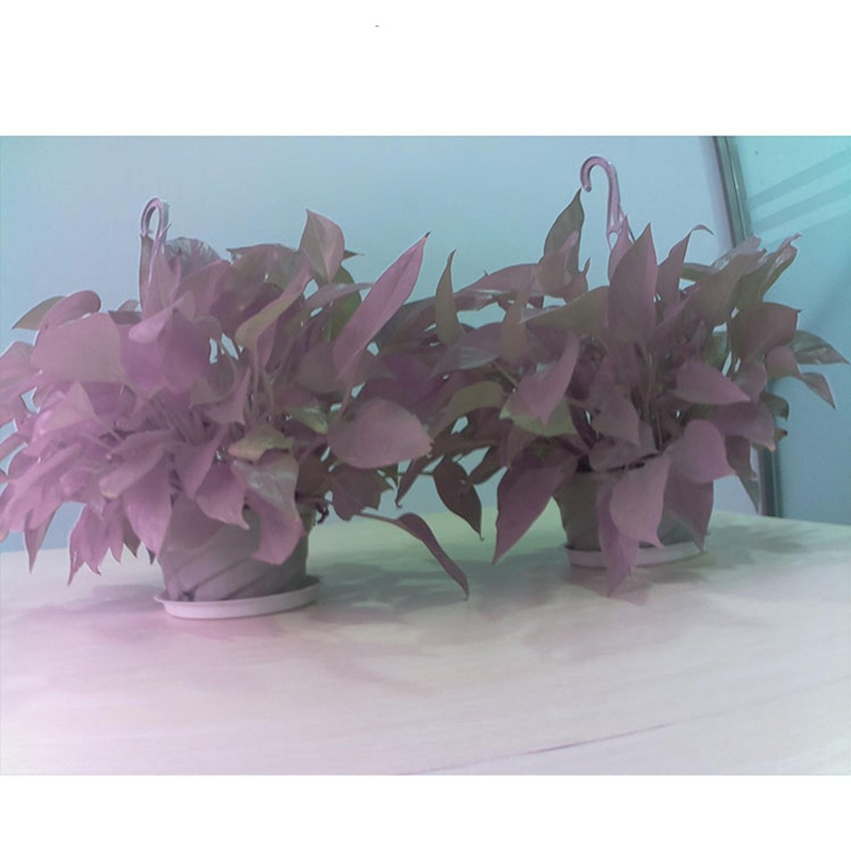 5 Fish Eye Lens Infrared Light Night Vison Camera For Raspberry Pi 4B ...