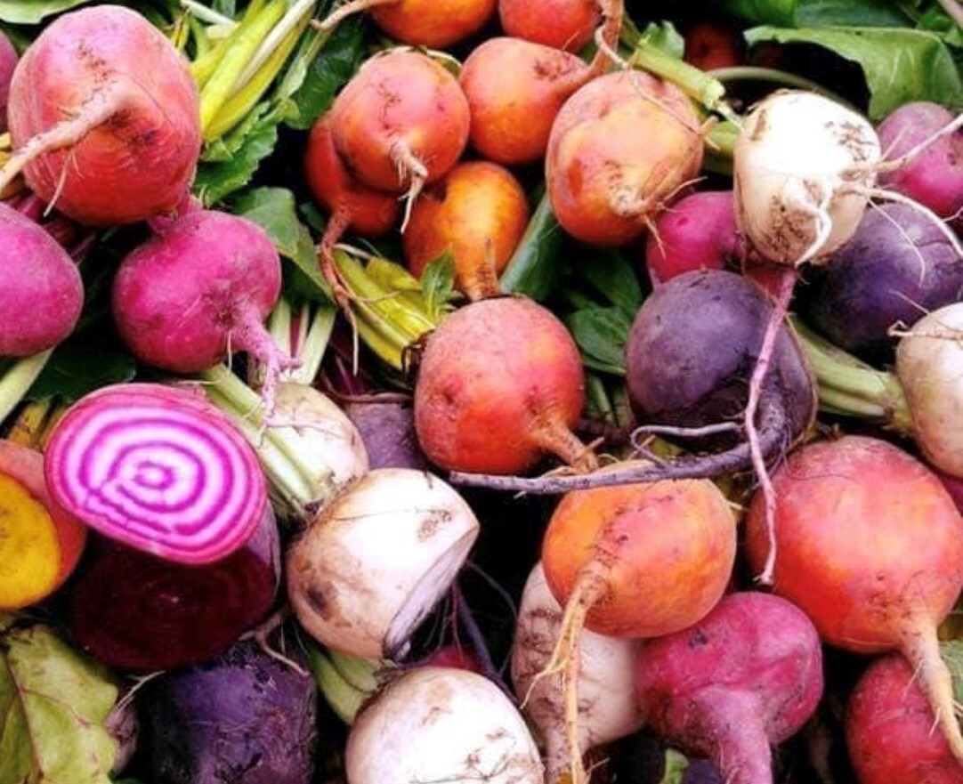Heirloom Beet Mix | Heirloom | Organic | Rare Varieties | eBay