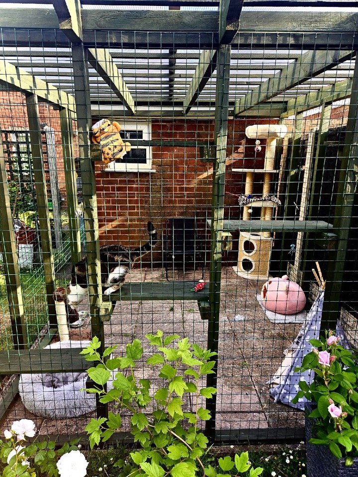 bespoke Catios and Animal Housing dog runs field shelters stables | eBay UK