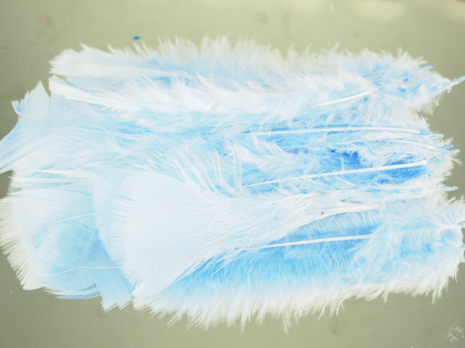Small Feathers Quill Barb Ostrich Soft Fluffy Plumage Decoration ...