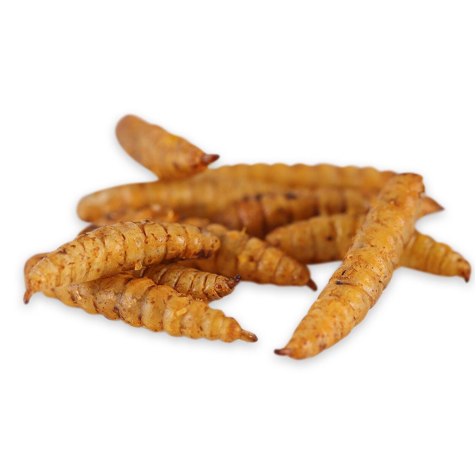 22 LBS Dried Black Soldier Fly Larva High Calcium Treats for Chickens ...