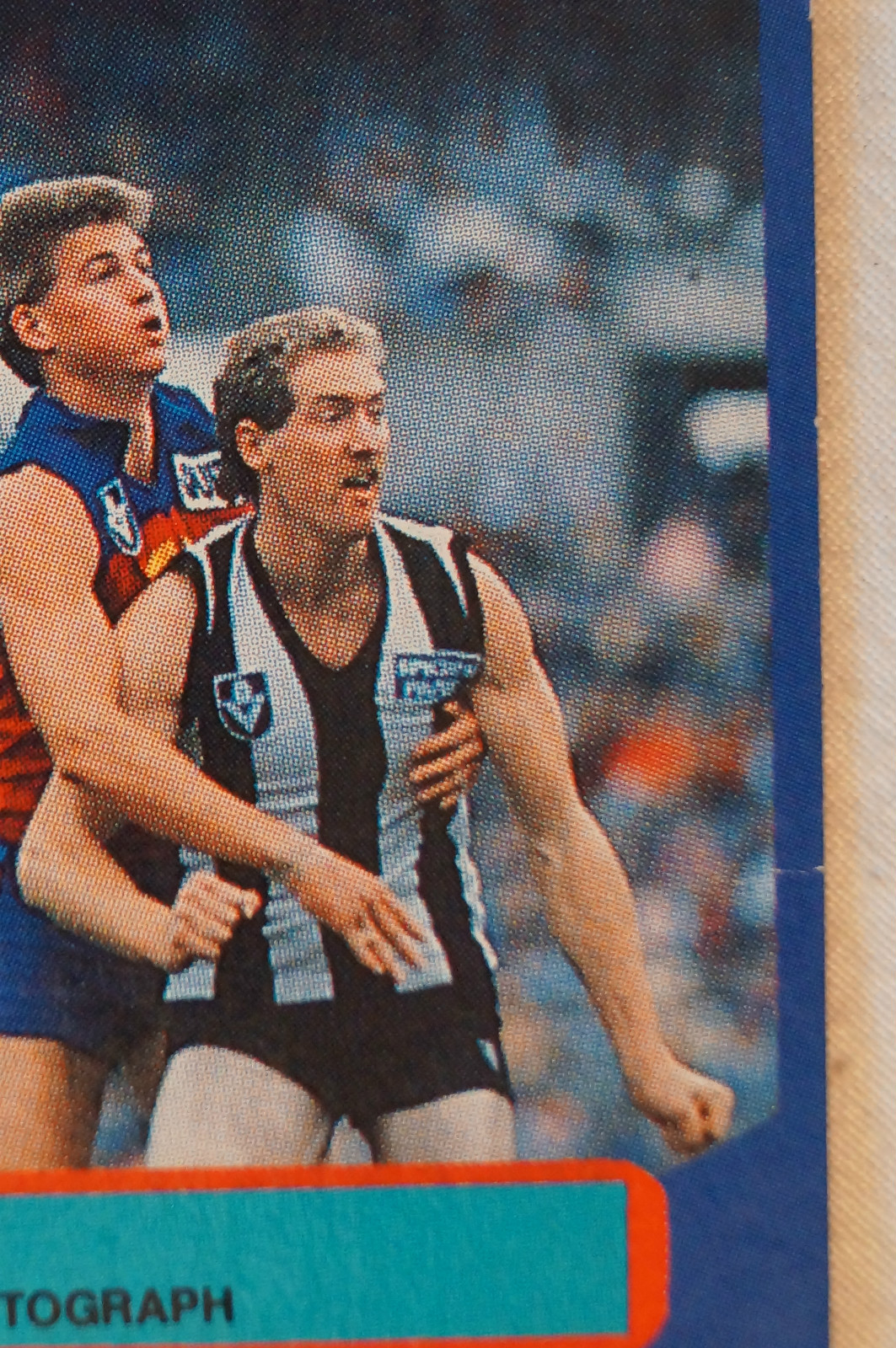 COLLINGWOOD MAGPIES - Shane Morwood - 'Morf' - Stimorol Card. | eBay ...