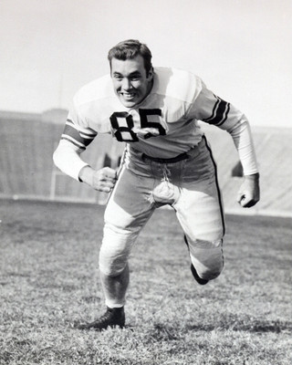 Hal Patterson Kansas Jayhawks, CFL (Alouettes & Tiger Cats) 8x10 B&W ...
