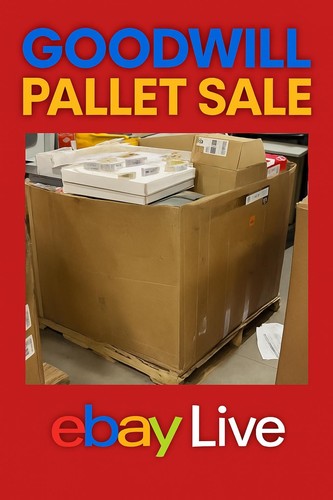 Goodwill Pallet Sale (Straight From the Pallet - Card Shown On Screen ...