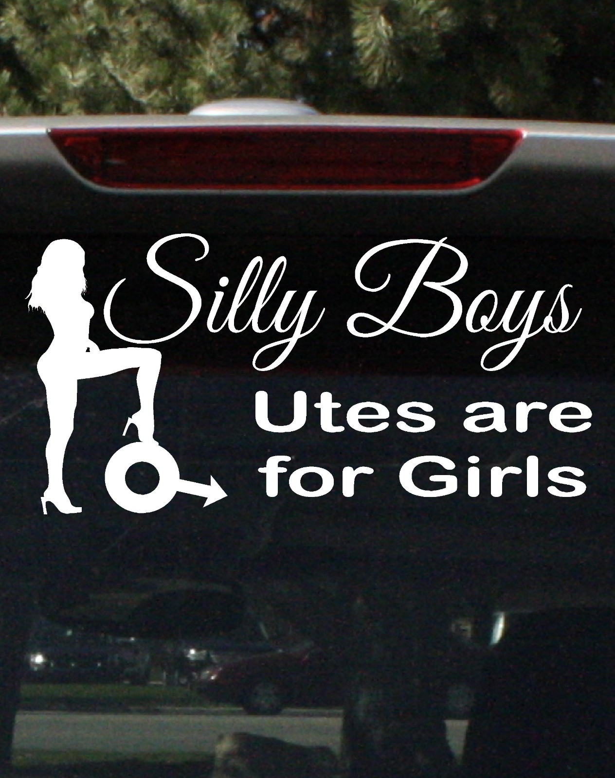 UTE GIRL decal car ute 4x4 HERS NOT HIS sticker SILLY BOYS UTES ARE FOR ...