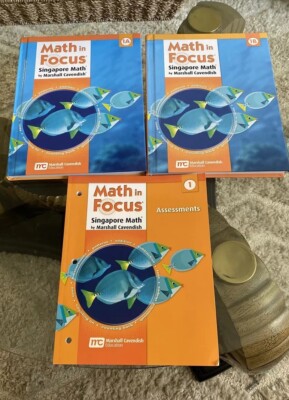 Math In Focus Grade 1A & 1B Student Textbooks & Assessment book | eBay