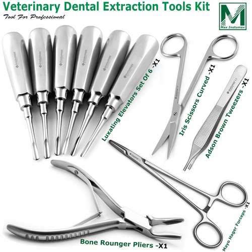 Dog Pet Dental Extraction Kit Coupland Elevators Periosteal Scaler ...