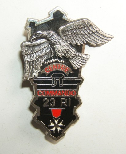 INSIGNE CENTRE COMMANDO 23° R.I. - Delsart | eBay
