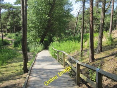 Photo 6x4 Freshfield NT Red Squirrel Walk Formby c2013 | eBay UK