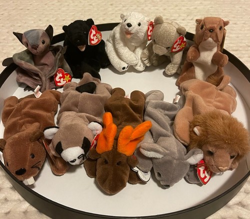 TY Beanie Baby Lot - Forest Animals (x10) - Chocolate, Nuts, Bucky, Mel ...