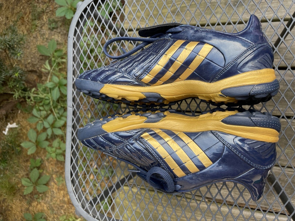 Indoor Adidas Predator Trx