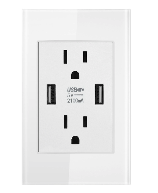Dual Wall Outlet with USB Ports Charger AC Power Receptacle Plate Panel ...