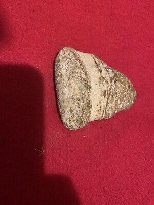 Primitive Stone Grooved Native American AX / Hammerstone Very Cool ...