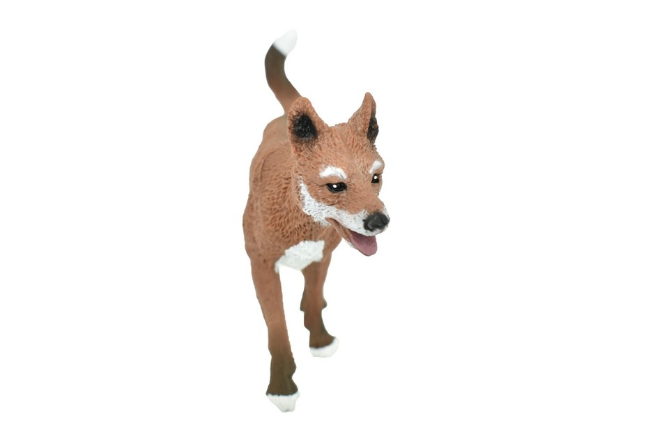 Dingo, Plastic Toy, Kids, Realistic Figure, Model, Figurine F4342 B219 ...