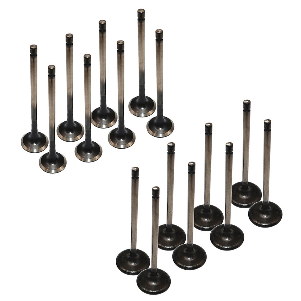 8 Set Intake&Exhaust Valve Kit For Hyundai Kia G4NA 2.0L 22211/22212 ...