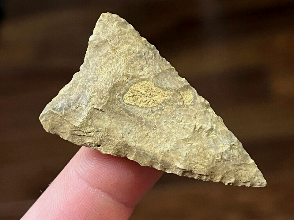 EXCEPTIONAL PALEO EARLY TRIANGLE POINT TEXAS AUTHENTIC ARROWHEAD ...