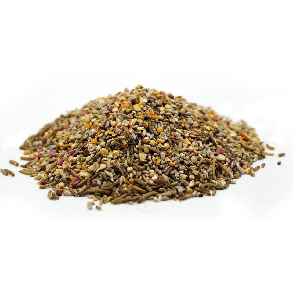 Value Large Wild Bird Scatter Mix 20kg High Energy Calci worms grains ...