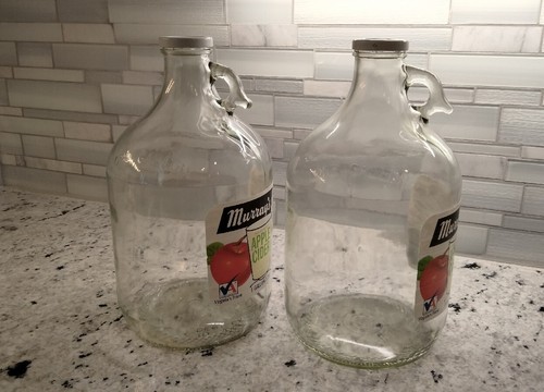 SET OF 2 Glass One Gallon Clear Jug Bottles with Finger Loop Handle ...