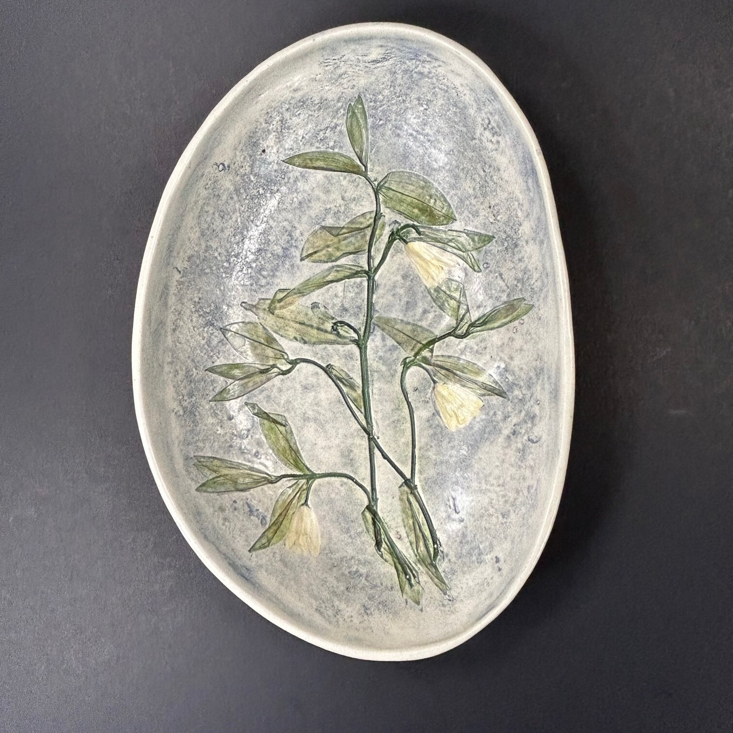 Salt Marsh Pottery Wild Oats Decorative Hanging Bowl Signed MSM 85 | eBay