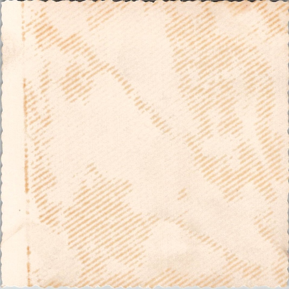 Construction Beefcake Man Mason Working Snapshot Americana 1950s ...