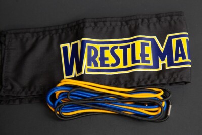 WWF WWE Jakks 2001 Ring Gear WresstleMania XVII Skirt & Ropes | eBay