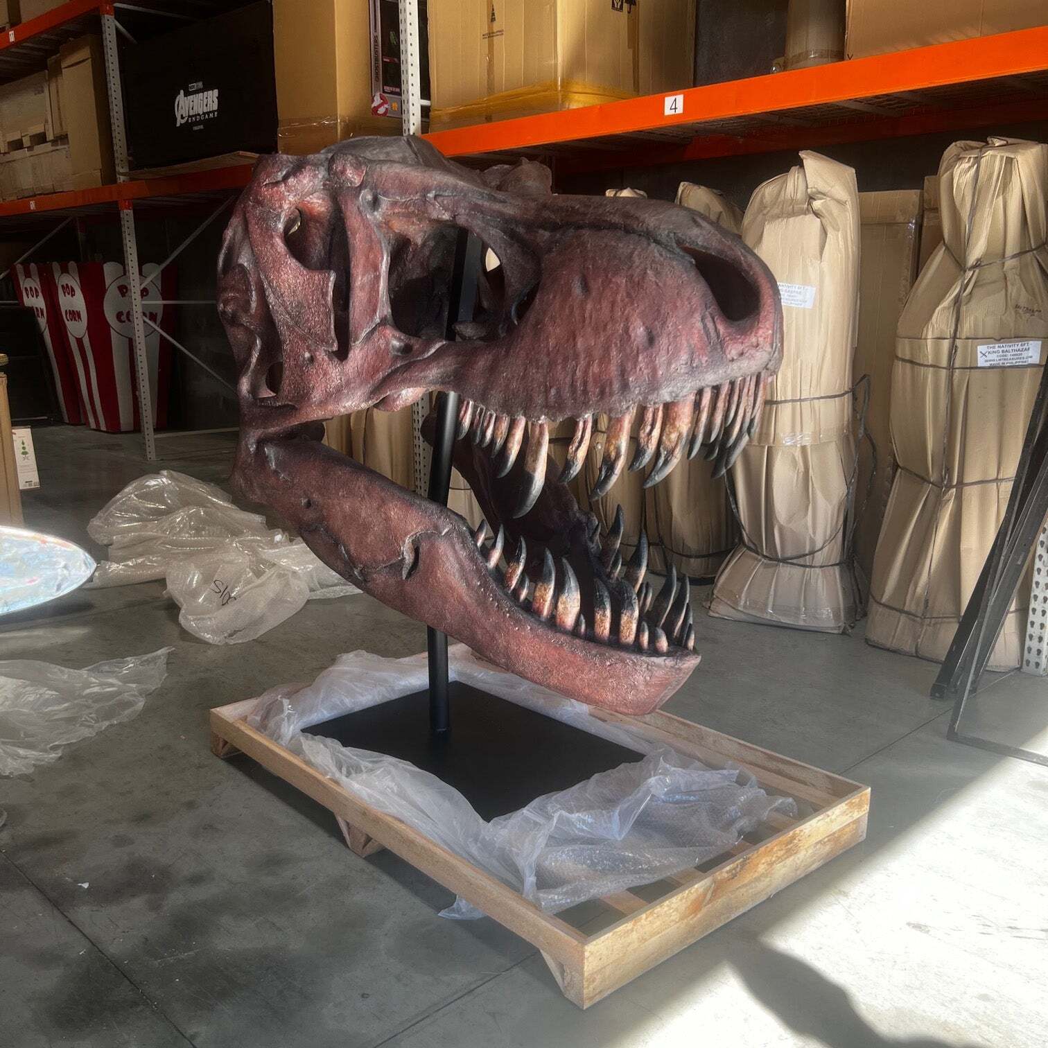 Jumbo T-Rex Skull On Base Life Size Resin Statue Jurassic Theme Prop ...