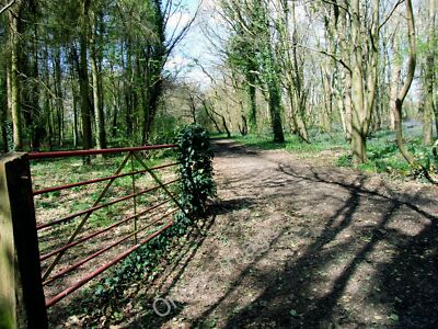 Photo 6x4 Red Gate Slindon Park Fontwell View of red gate at Slindon ...