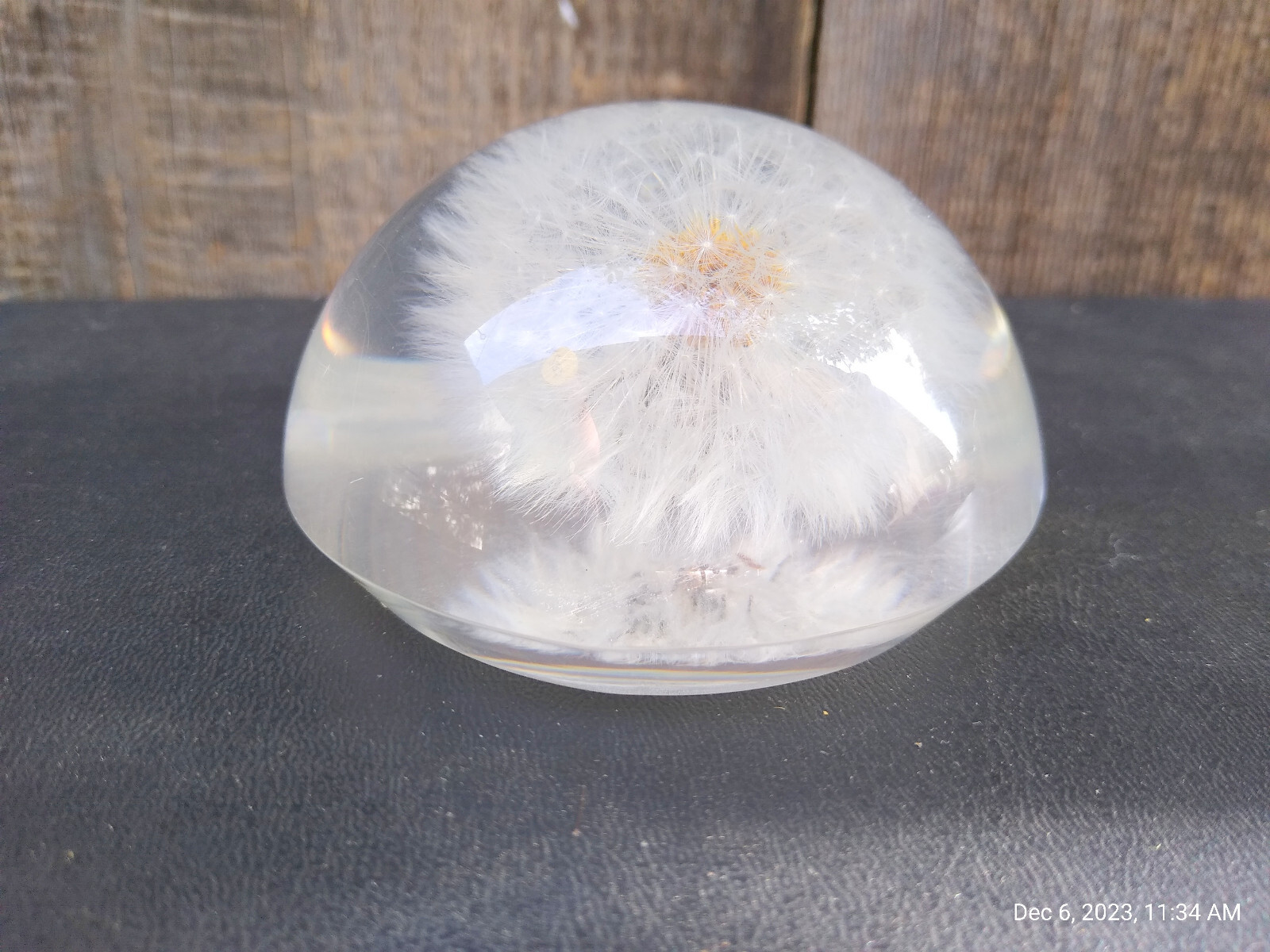 W. Rolfe William Rolfe Dandelion Clear Plastic Paperweight | eBay